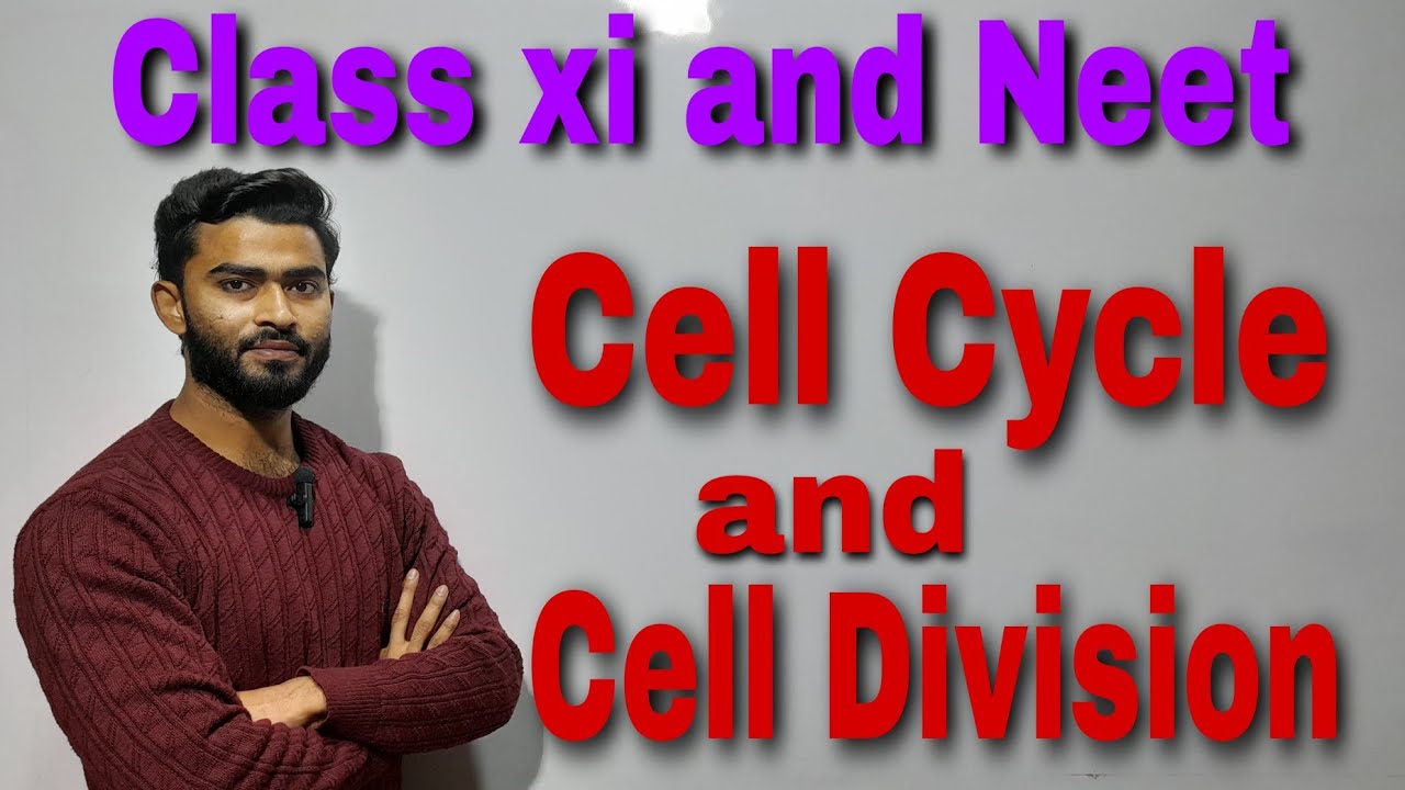 lecture 5 Cell cycle and cell division mitosis pro meta ana and ...