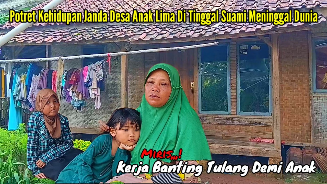 Potret Kehidupan Janda Desa Tangguh Di Tinggal Suami Meninggal Dunia | Kerja Keras Demi Lima ...