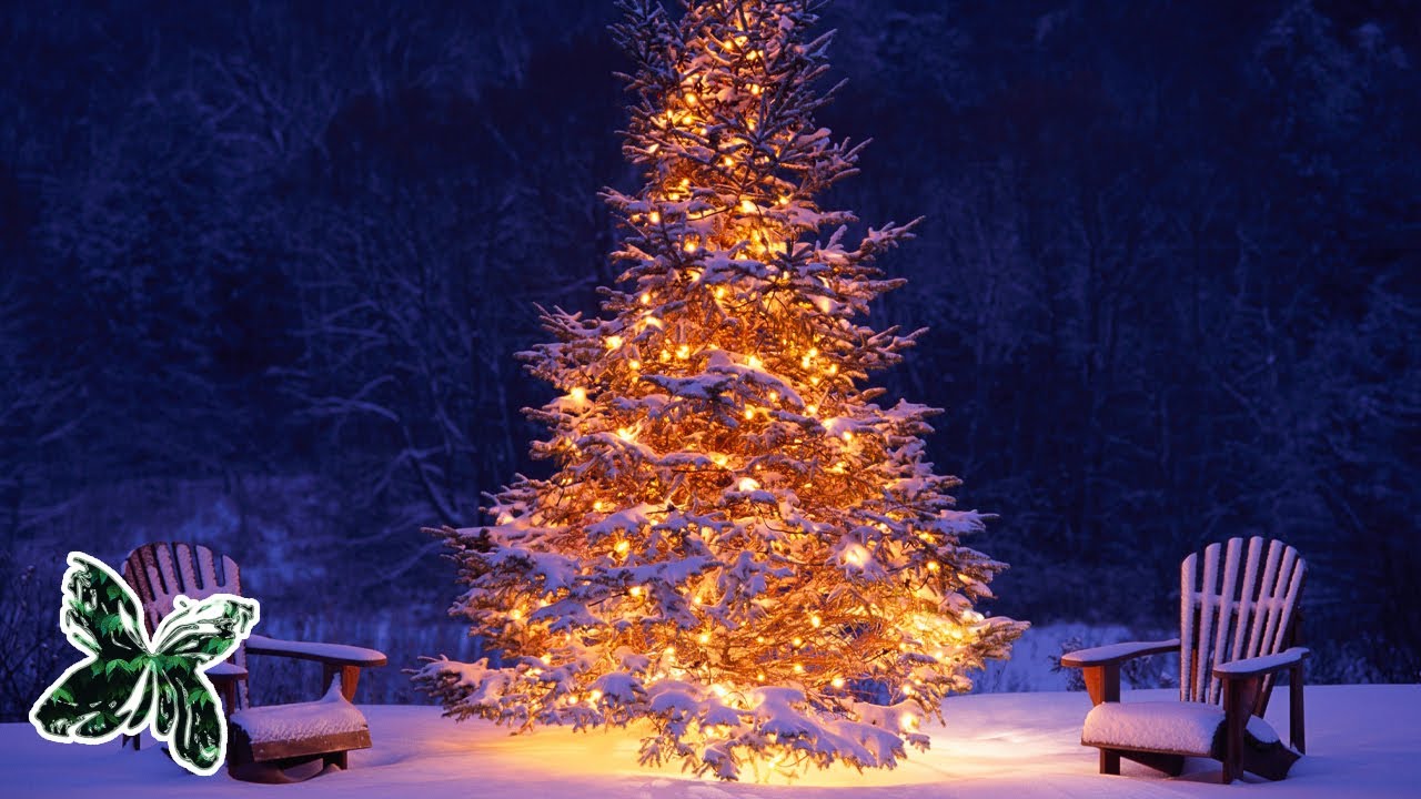 Relaxing Instrumental Christmas Music 🎄 Cozy Christmas Tree Ambience ...
