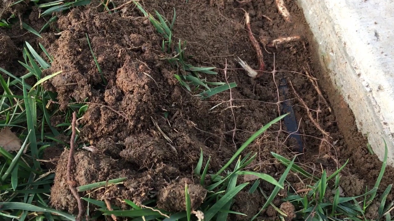 Uh Oh Root Barrier Installed Improperly YouTube uh-oh-root-barrier-installed-improperly-youtube