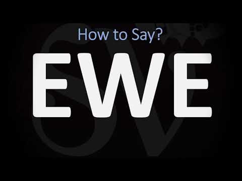 How to Pronounce Ewe? (CORRECTLY)