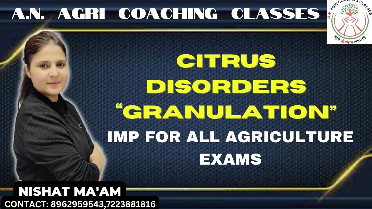 CITRUS DISORDER|| GRANULATION|| HORTICULTURE|| CUET, IGKV CET-2025,CG ...