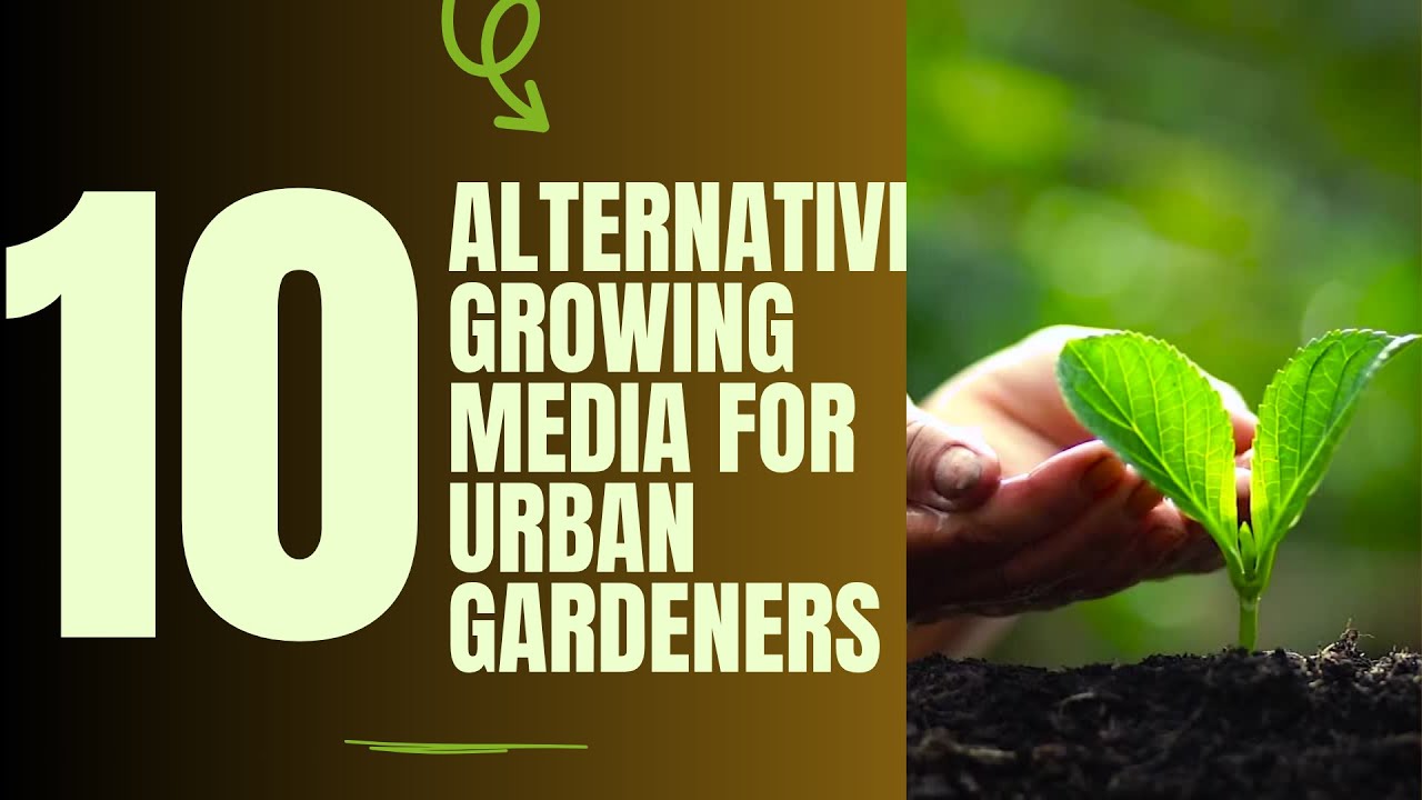 10 Growing Media for Urban Gardeners | Make Your Own Lightweight ...