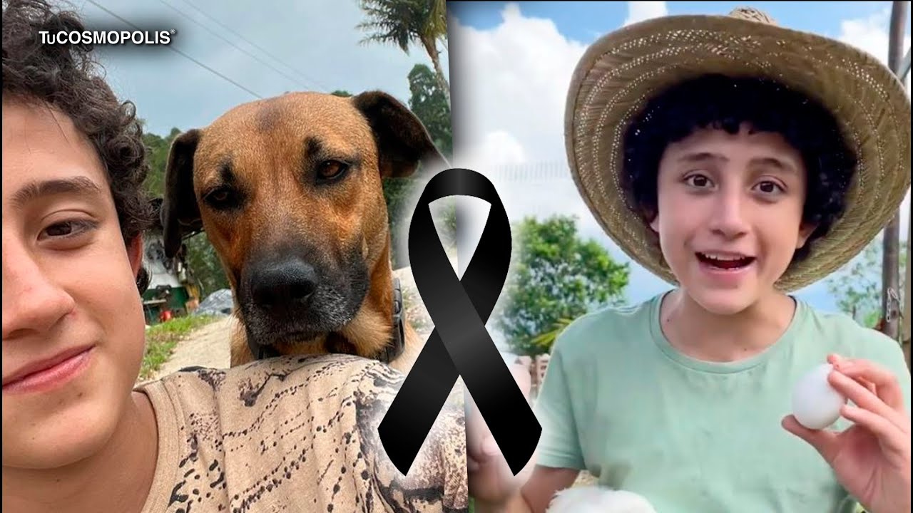 La granja del borrego está de luto! Envenenan a Toño - YouTube