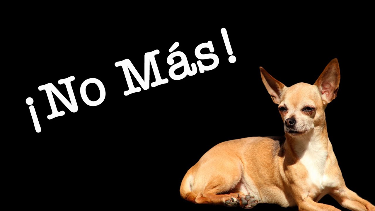 Reunión Virtual: No Más 1 - YouTube