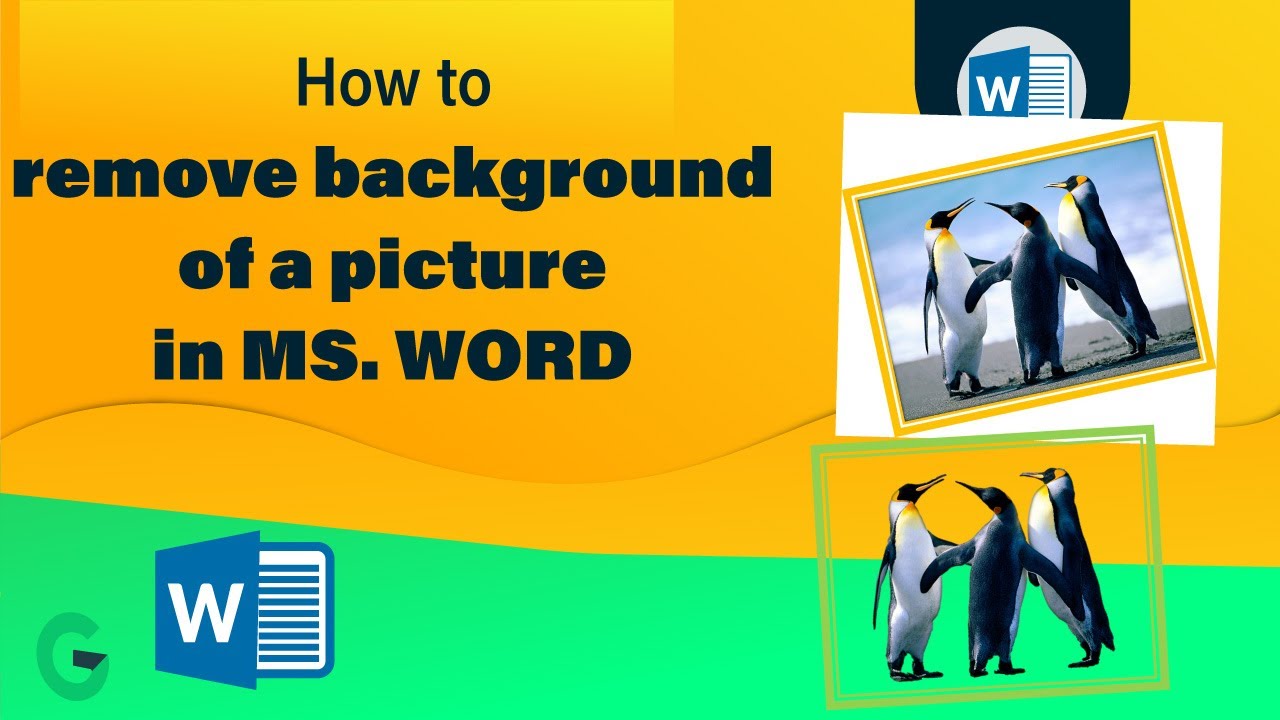 How To Remove Picture Background In Ms Word YouTube How To Remove Picture Background In Ms Word YouTube