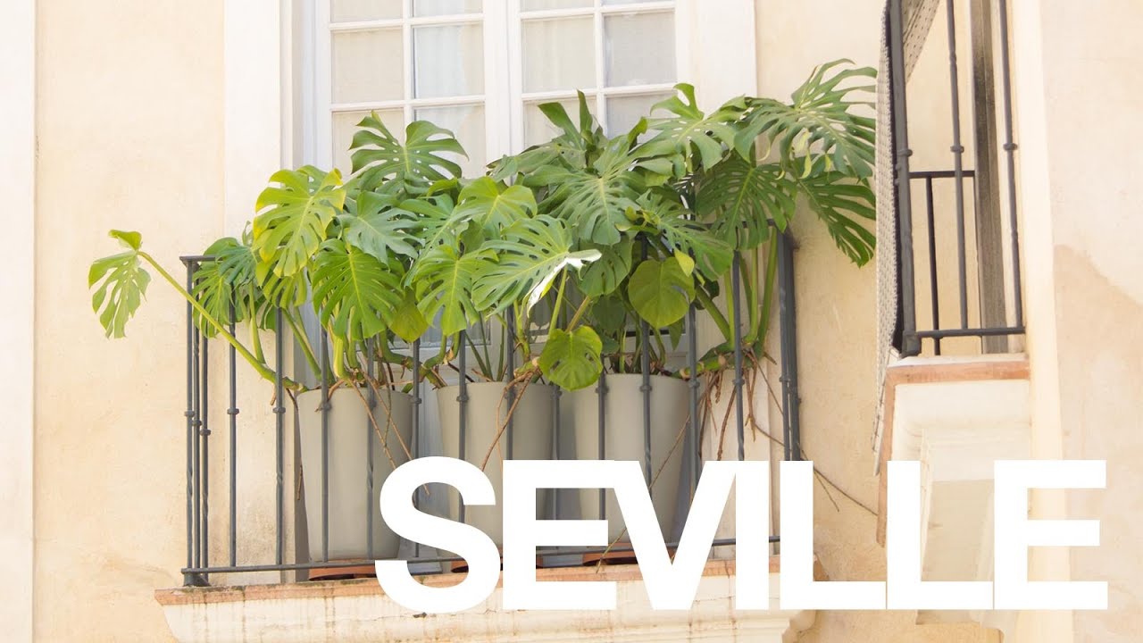 Seville (Spain) - Architecture and history shown in colors and details ...