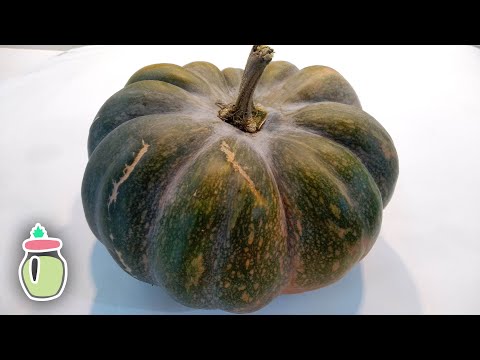 KABAĞIN EN GÜZEL HALİ❗FIRINDA KABAK MÜCVER❗ KABAK MÜCVER TARİFİ❗