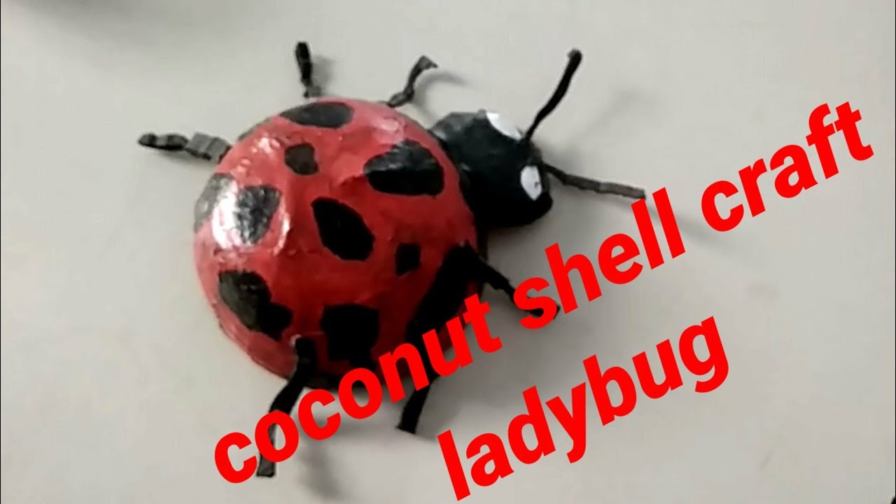 DIY ladybug/how to make ladybug with coconut shell/craft ideas - YouTube
