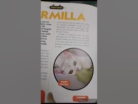 I'm Reading My National Geographic Kids Cat Breed Guide Part 27. - YouTube