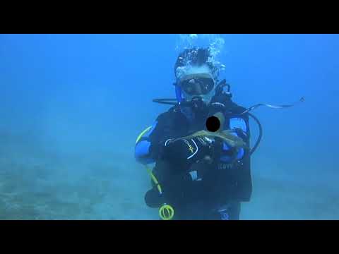Χορευοντας με το χταποδι!!! - YouTube