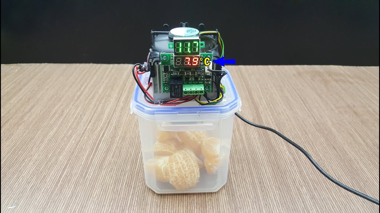 How To Make a Mini Fruit Cooler Box - YouTube