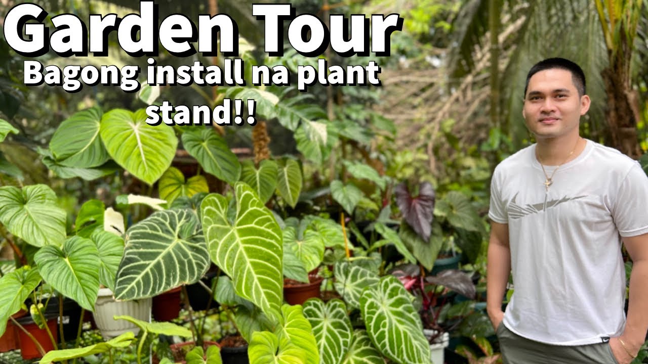 ISA ISAHIN ANG MGA HALAMAN SA BAGONG INSTALL NA PLANT STAND | GARDEN ...