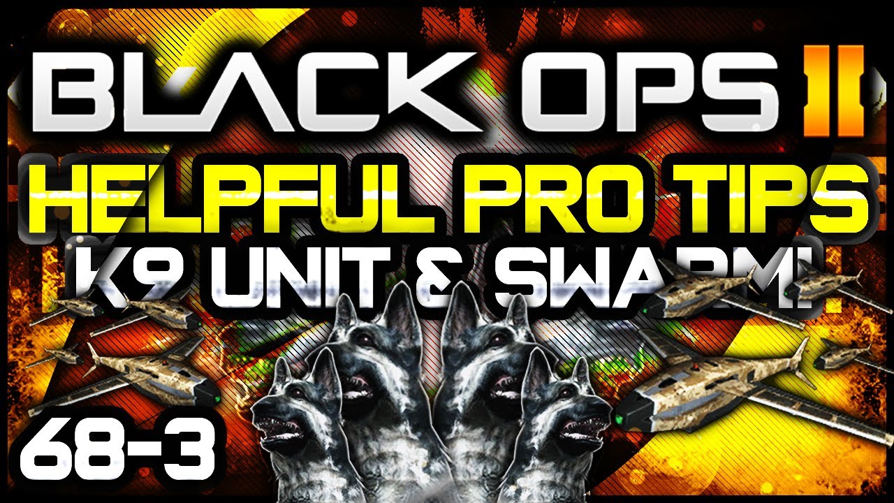 Black Ops 2 | Helpful PRO Tips - Double K9 Unit & SWARM! (BO2 Tips and ...