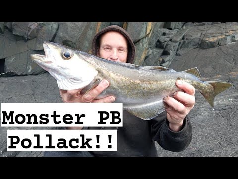 North Wales Sea Fishing | Monster PB Pollack | Fishing with @fishingsquaduk1251 - YouTube