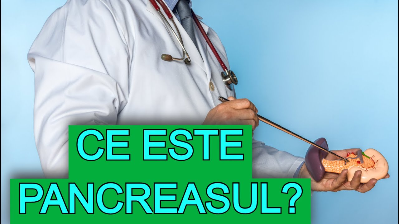 Ce este pancreasul? - YouTube
