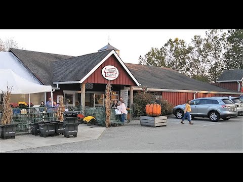 Exploring Weber's Farm Market in Parkville, Maryland, USA - Travel Vlog ...