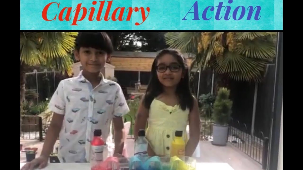 What is Capillary Action? | STEM | Science Experiment - YouTube