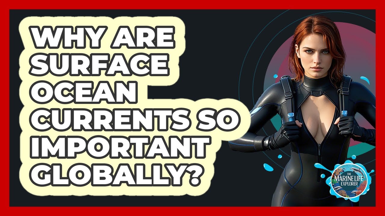 Why Are Surface Ocean Currents So Important Globally? - The Marine Life ...