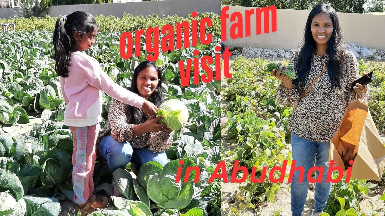 organic farm visit in Abudhabi//place to visit during this winter in ...