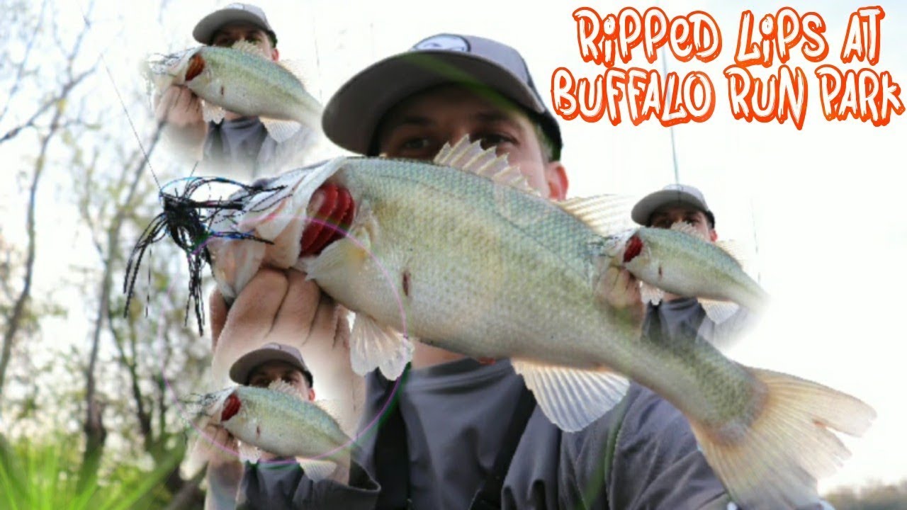 Ripped Lips at Buffalo Run Park - YouTube