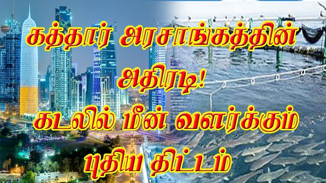 Qatar going to establish fish farming project in the Sea - YouTube
