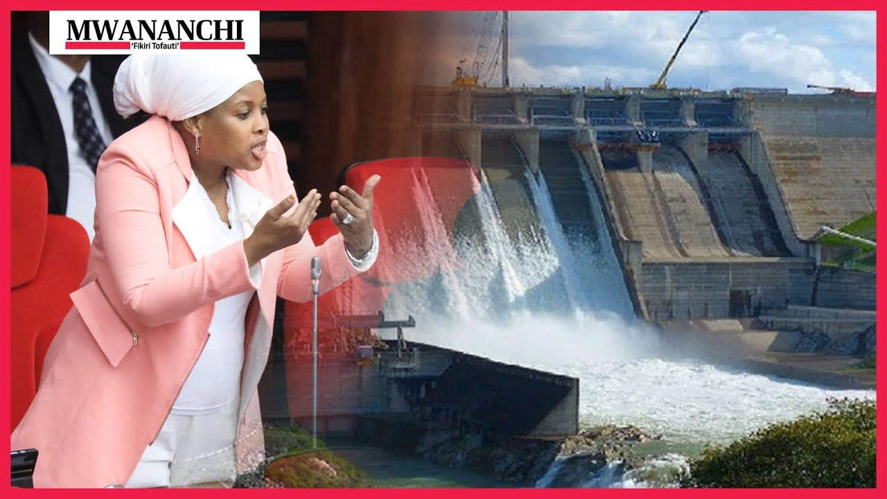 Mbunge atoa kali ataka Material zilizotumika Bwawa la Mwalimu Nyerere ...