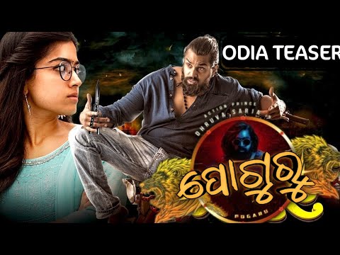 Pogaru odia dubbed teaser ll RKD studios ll Aditya Music Odia