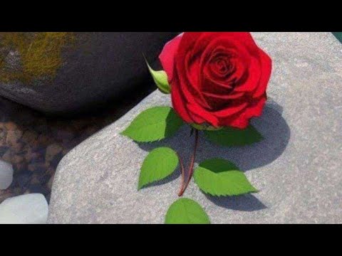 mursheda You Tube is live! - YouTube