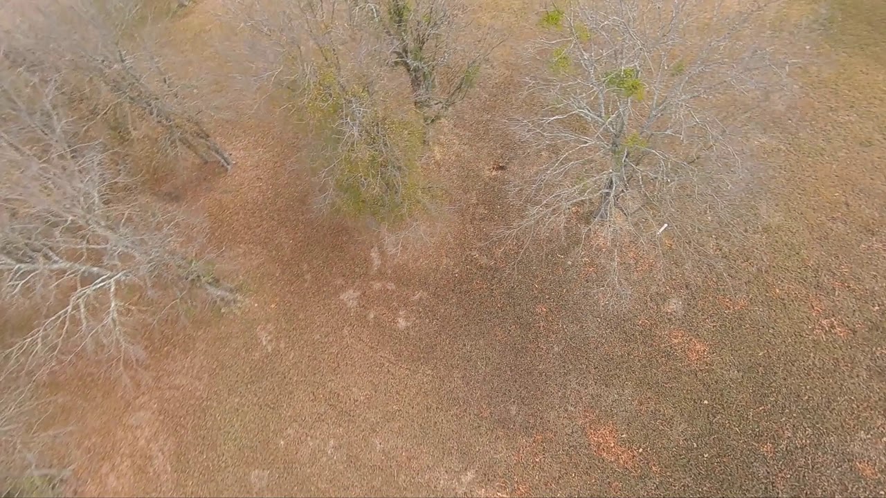 FPV Youtube Bitrate Test - 2.7k Upscaled to 4k 120 Constant Bitrate ...