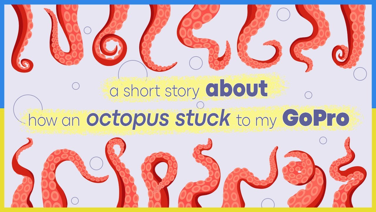 a short story about "how an octopus stuck to my GoPro" - YouTube