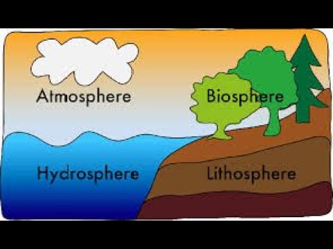 The Earth Biosphere| Importance of Biosphere| Why is the biosphere ...