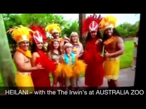 AUSTRALIA ZOO - BINDI's ISLAND - HEILANI - YouTube