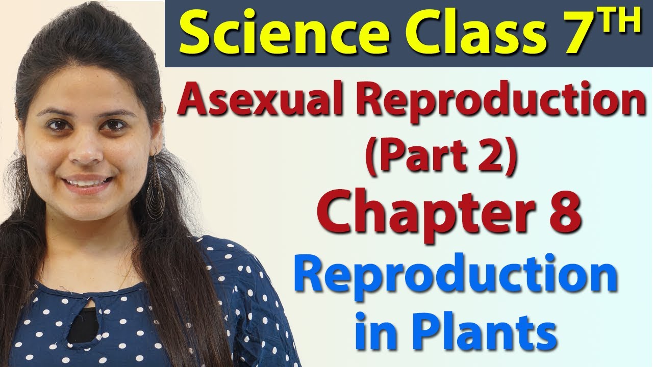 Asexual Reproduction (Part 2) - Chapter 8 - Reproduction in Plants ...