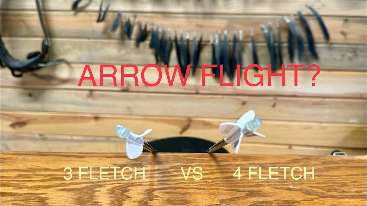 3 FLETCH VS 4 FLETCH ARROWS on 600 grain setup! - YouTube