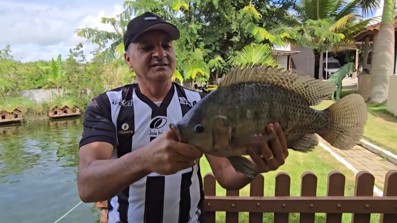 PESSOAL VEJA A QUANTIDADE DE TILAPIAS QUE VEIO EM UMA SO TARRAFADA INCRÍVEL/ .PESAMOS AS ...