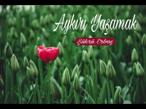 Aykırı Yaşamak | Şükrü Erbaş| Seslendiren: Ayşe Doğan | Video Düzenleme: İlayda Doğan