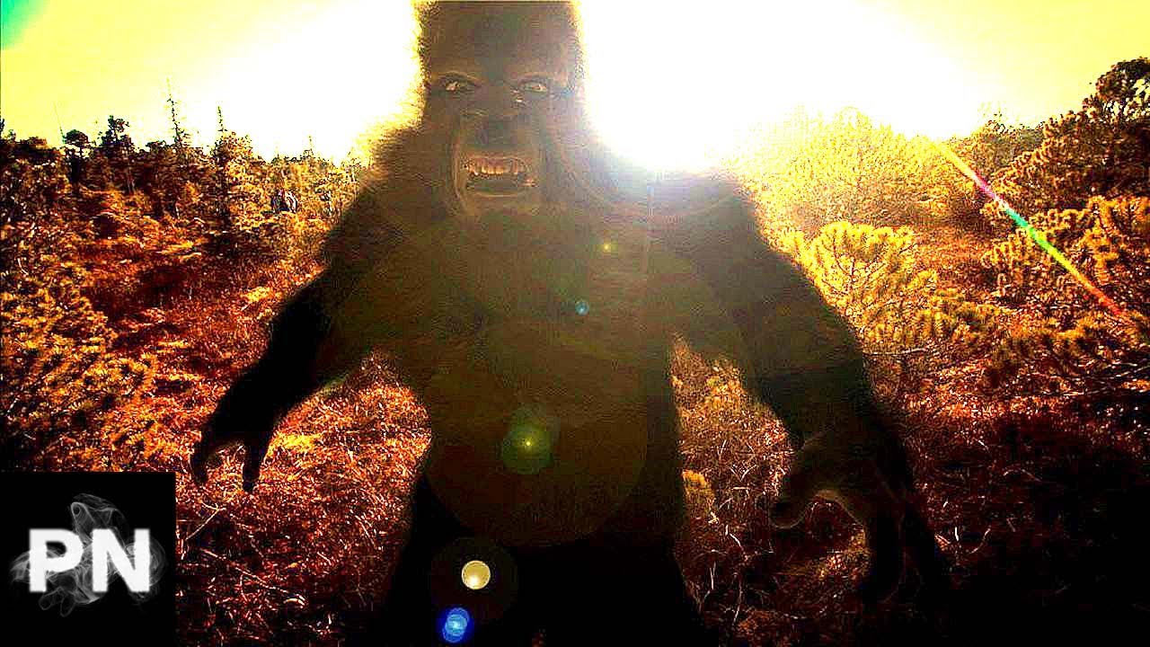 THE SEAN WHITLEY INTERVIEW - Cryptid Campfire Video Podcast - YouTube