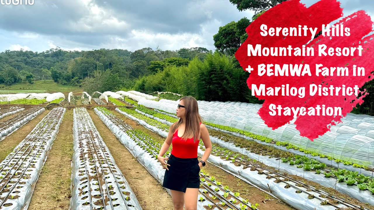 Serenity Hills Mountain Resort + BEMWA Farm in Marilog District ...