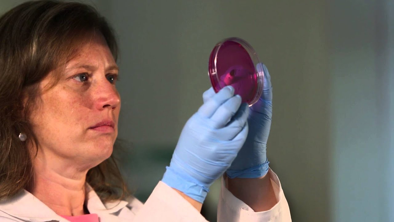 Burnett School of Biomedical Sciences, UCF - YouTube