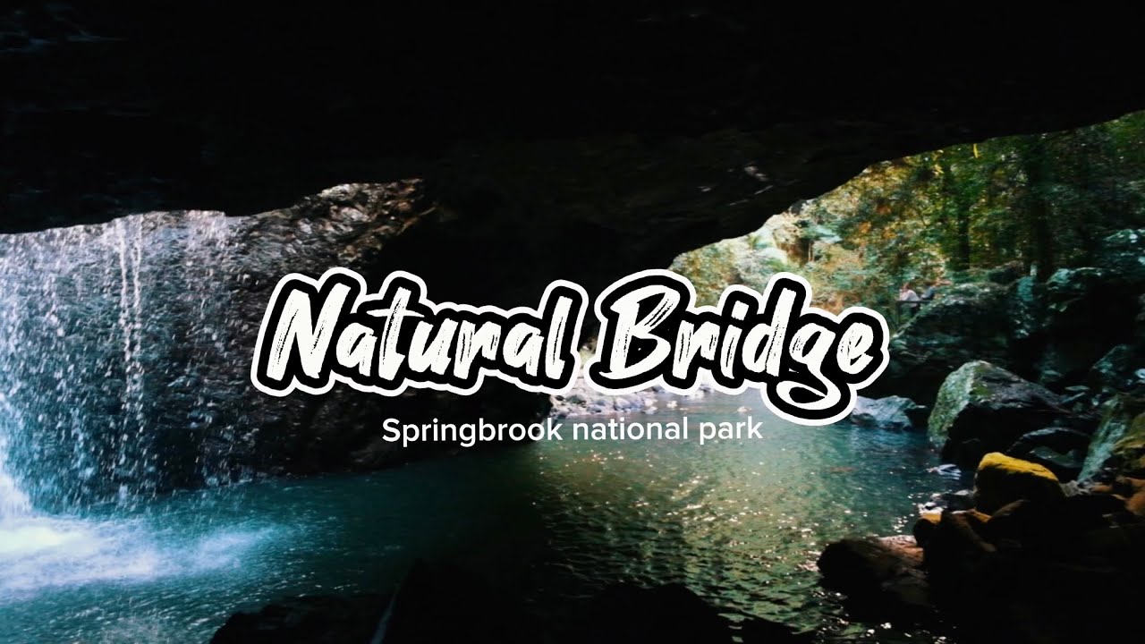 Natural Bridge | Springbrook national park | World Heritage Rainforest ...