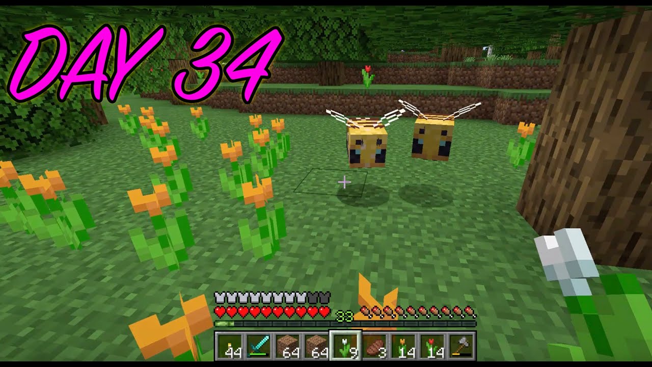 Day in the life | Minecraft world | Day 34 - YouTube