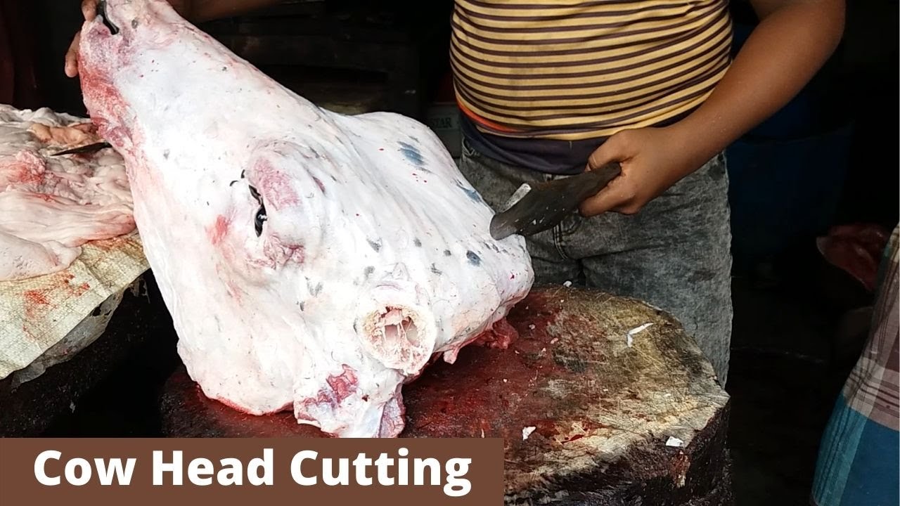 Amazing Way To Processing Cow Brain By Handsome Boy | Cow Head Cutting ...