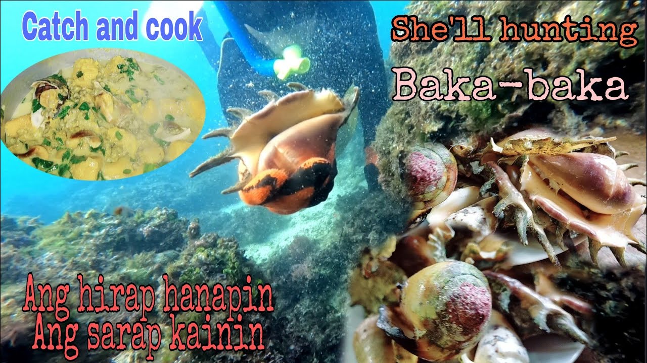 Shell's hunting/Boracay Island/Ang hirap hanapin Ang sarap kainin/Catch and cook/MRVINTV - YouTube