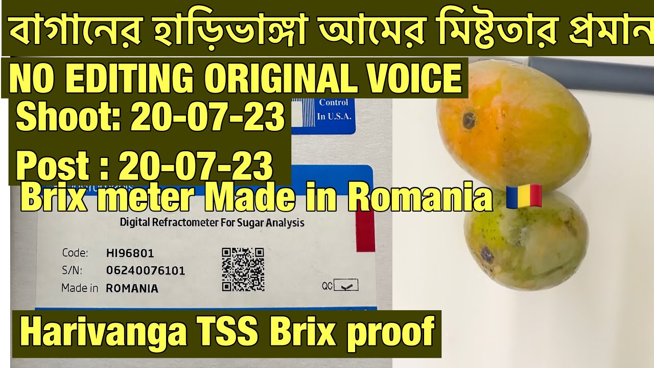 Harivanga mango TSS Brix proof, no editing & original voice.. - YouTube