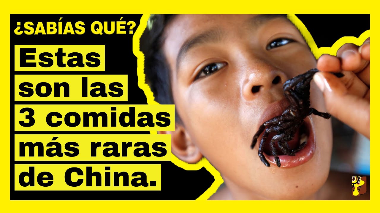 Las 3 Comidas mas Raras de China 🤮¿Te atreverías a comer alguna de ...