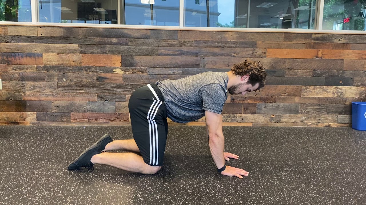 Quadruped Pelvic Tilts - YouTube