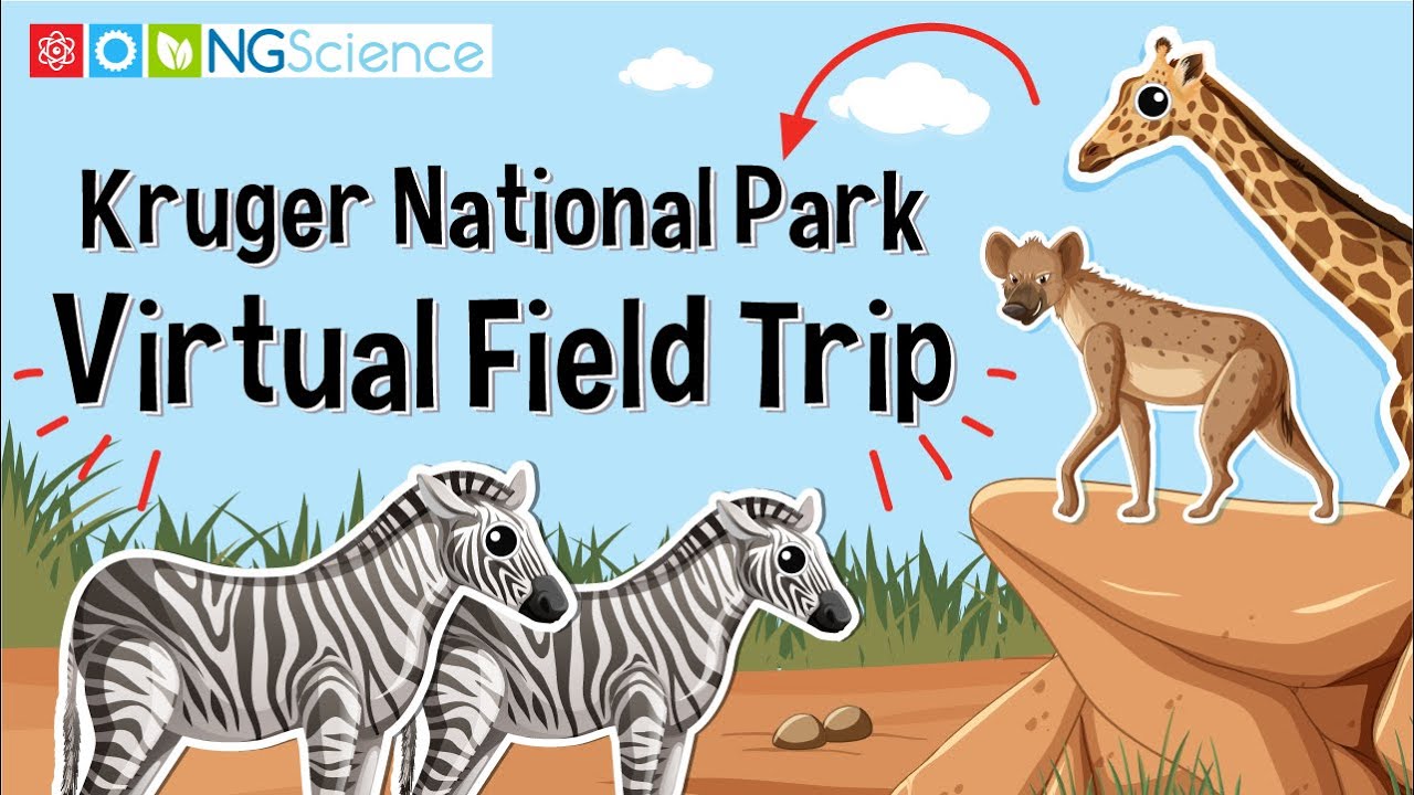 Kruger National Park – Virtual Field Trip - YouTube