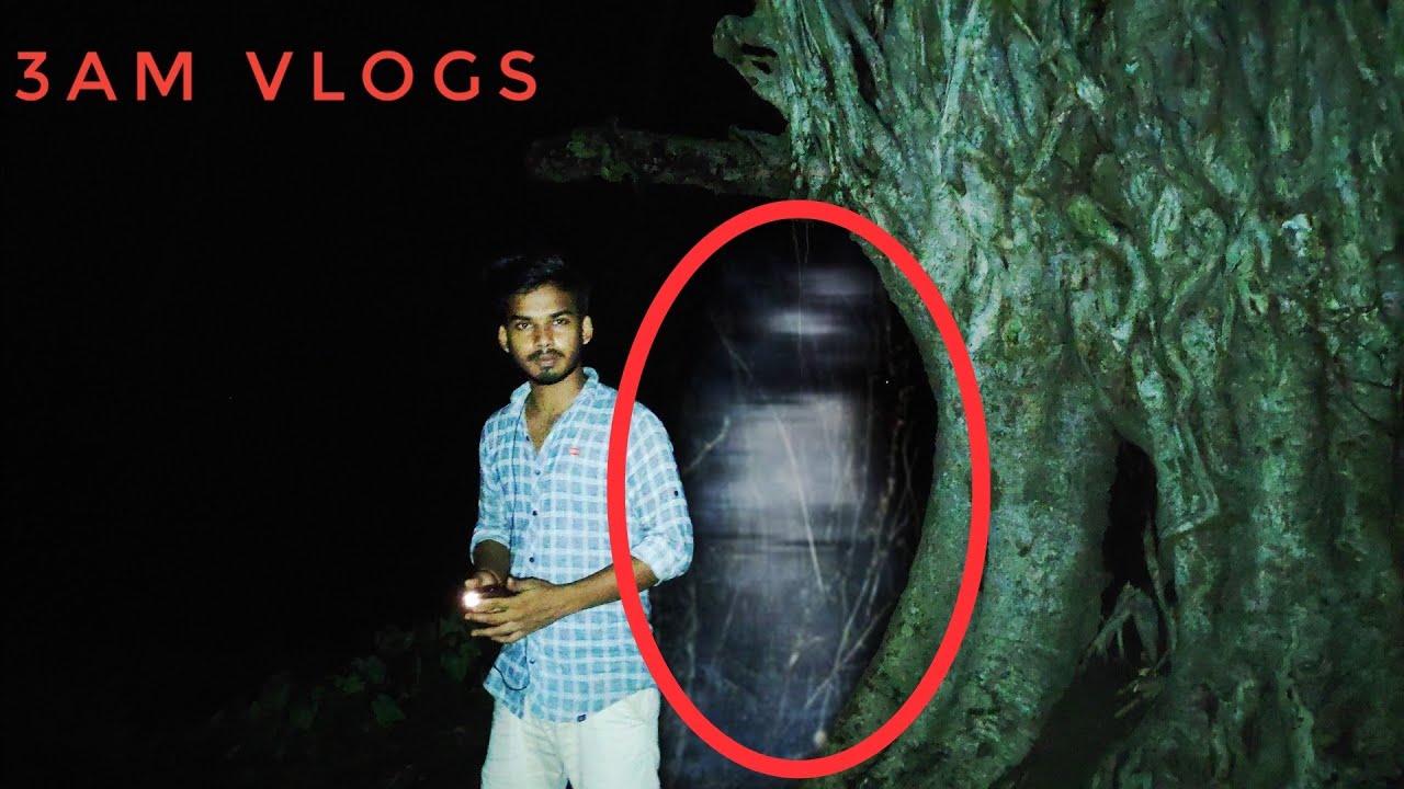 Night Stay In India's Most Haunted Place | Ghost In Banyan Tree ...