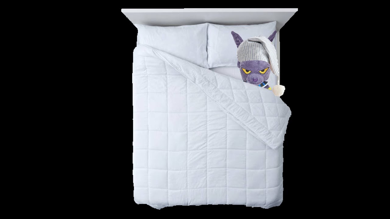 Beerus Plush Sleeping 1 Hours - YouTube